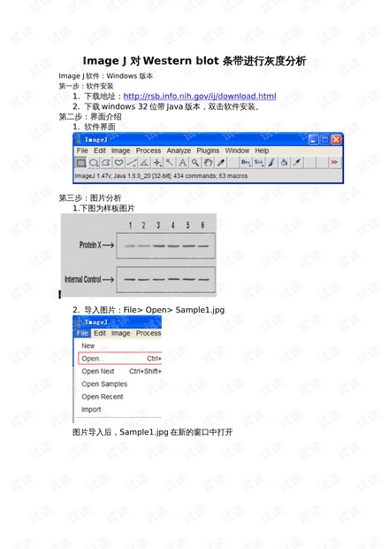 Image-J-对Western-Blot进行灰度分析_imagej灰度分析资源-CSDN下载