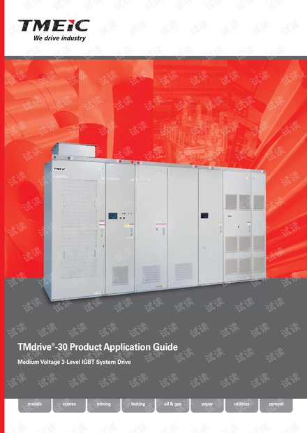 提迈克（tmeic）TMDrive-30应用指南.pdf资源-CSDN下载