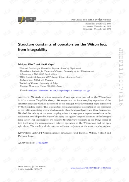 基于积分性的Wilson环算子结构常数：强耦合验证与全息对应 - CSDN文库