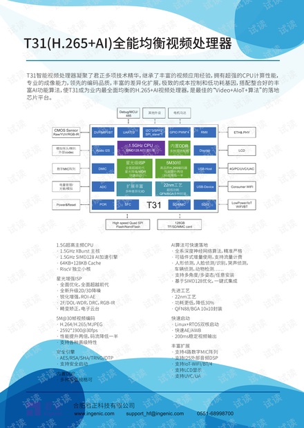 T31_PB_中文.pdf_君正t31芯片资料pdf资源-CSDN下载