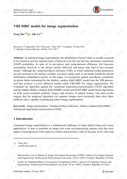 VBI-MRF模型提升图像分割精度：融入空间信息的统计方法 - CSDN文库