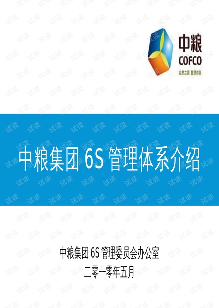 中粮集团6S管理体系详解 - CSDN文库