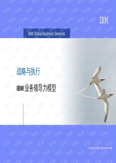 IBM业务领导力模型：战略执行与领导力建设 - CSDN文库