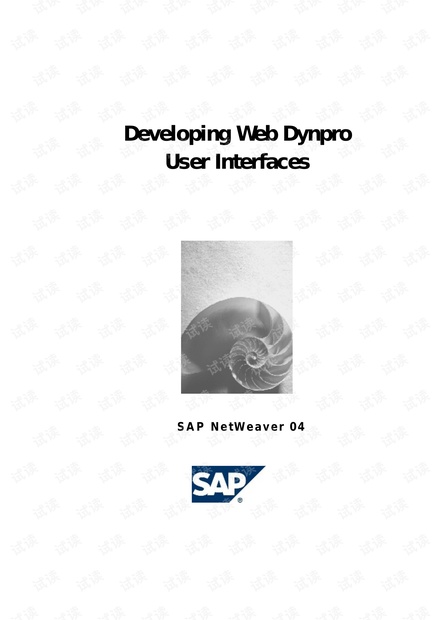 Sap Netweaver 04 Web Dynpro Ui 开发指南 Csdn文库