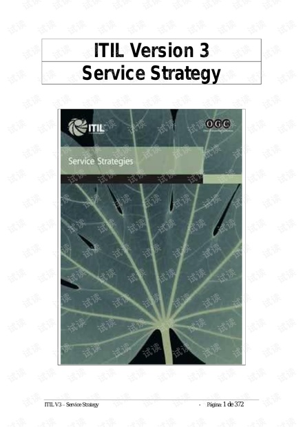 ITIL V3服务战略：整合ISO/IEC 20000标准的关键指南 - CSDN文库