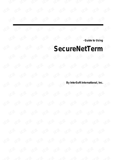 SecureNetTerm全方位指南：从入门到精通 - CSDN文库