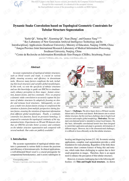动态蛇形卷积(DynamicSnakeConvolution)_蛇形卷积资源-CSDN下载