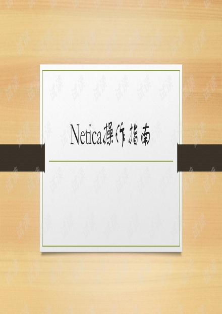 Netica贝叶斯网络分析软件操作指南 - CSDN文库