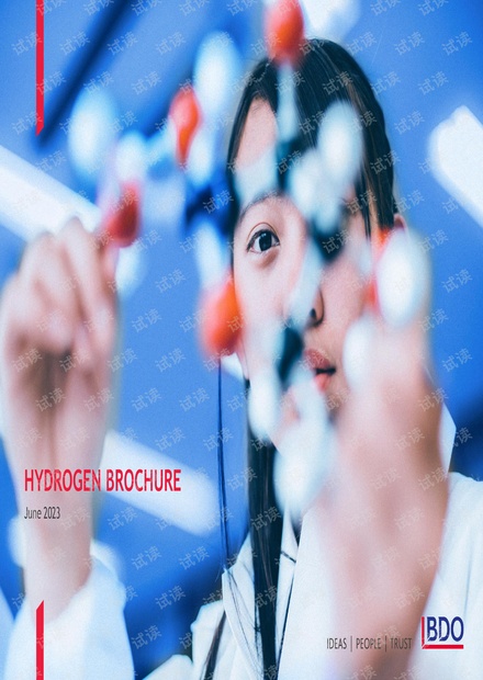 【免费】立信（BDO）：2023年氢能的未来研究报告（英文版）.pdf_hydrogen energy future report 2023资源-CSDN下载