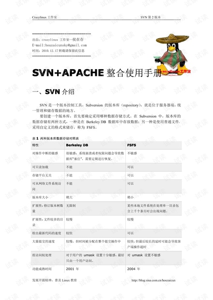 Svn搭建与使用全攻略：从新手到熟手 Csdn文库 