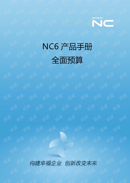 NC6产品手册：全面预算解决方案 - CSDN文库