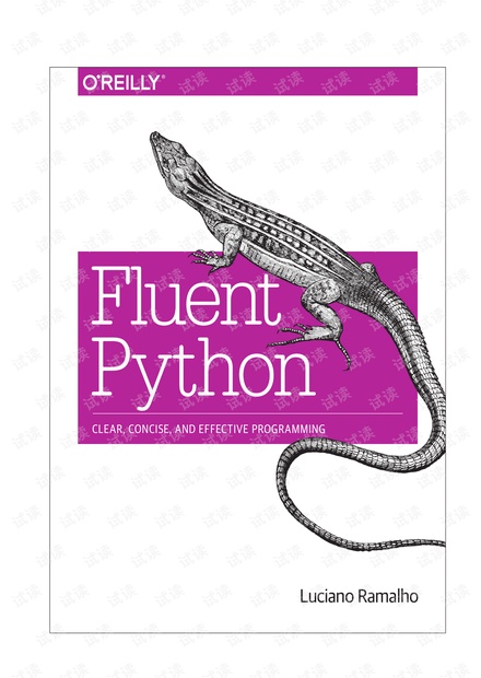 FluentPython.pdf中文版下载版_fluentpython中文版,fluentpython下载资源-CSDN下载